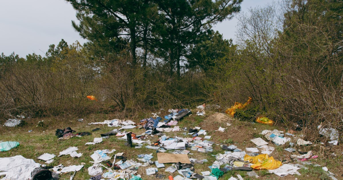 Wyższe kary za przestępstwa na przyrodzie | WWF Polska