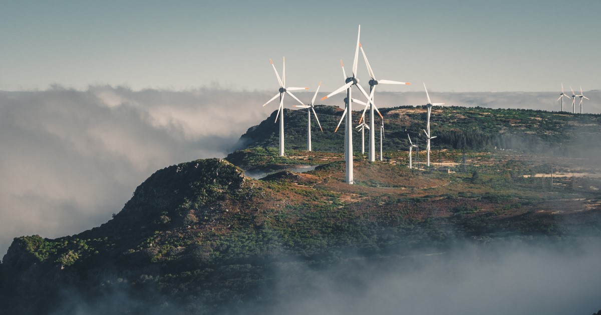 10 pytań o OZE | WWF Polska