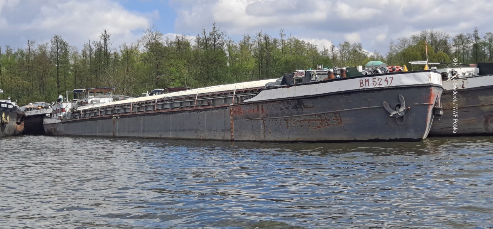 Pic na wodę za 200 miliardów złotych | WWF Polska