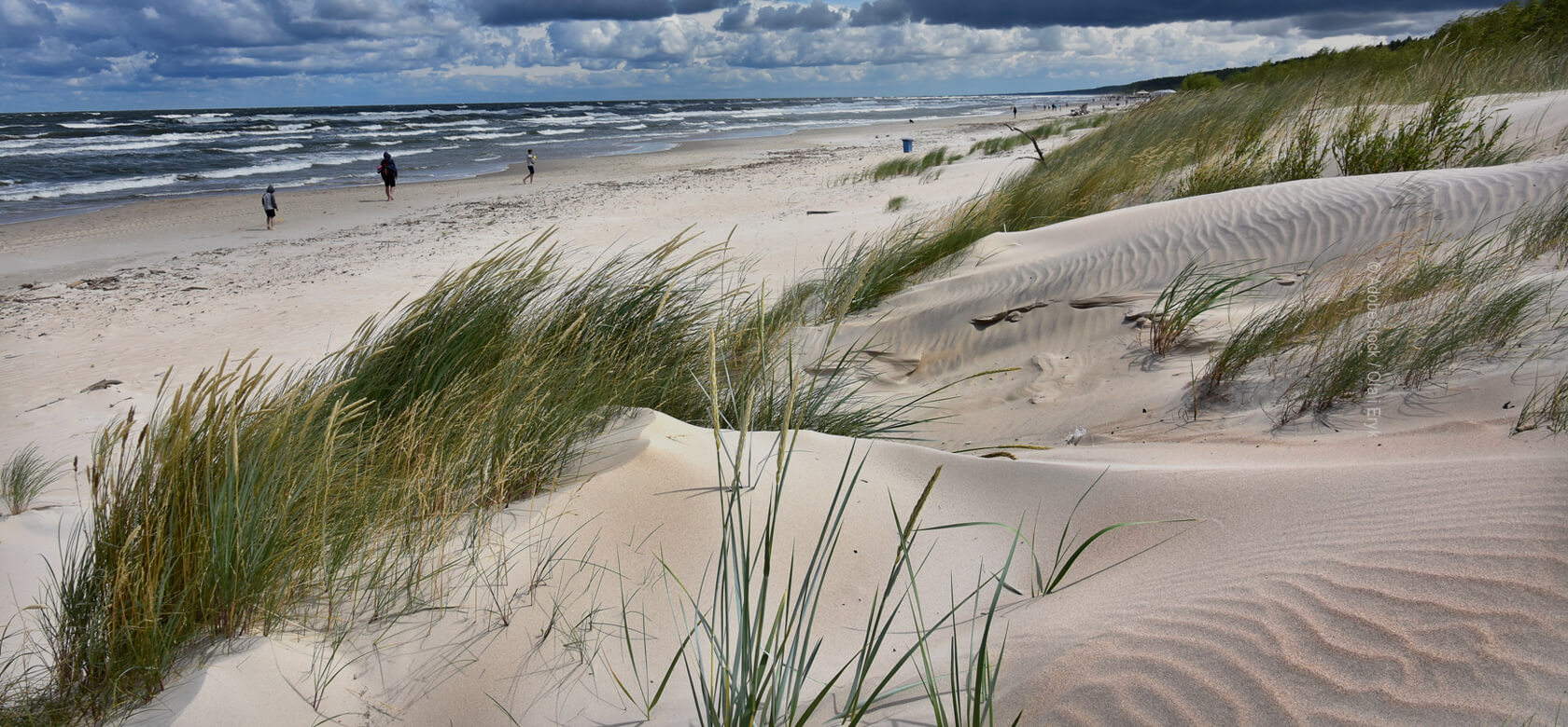 Batalia morza z lądem. Jak wydmy chronią nas przed wodą i wiatrem ...